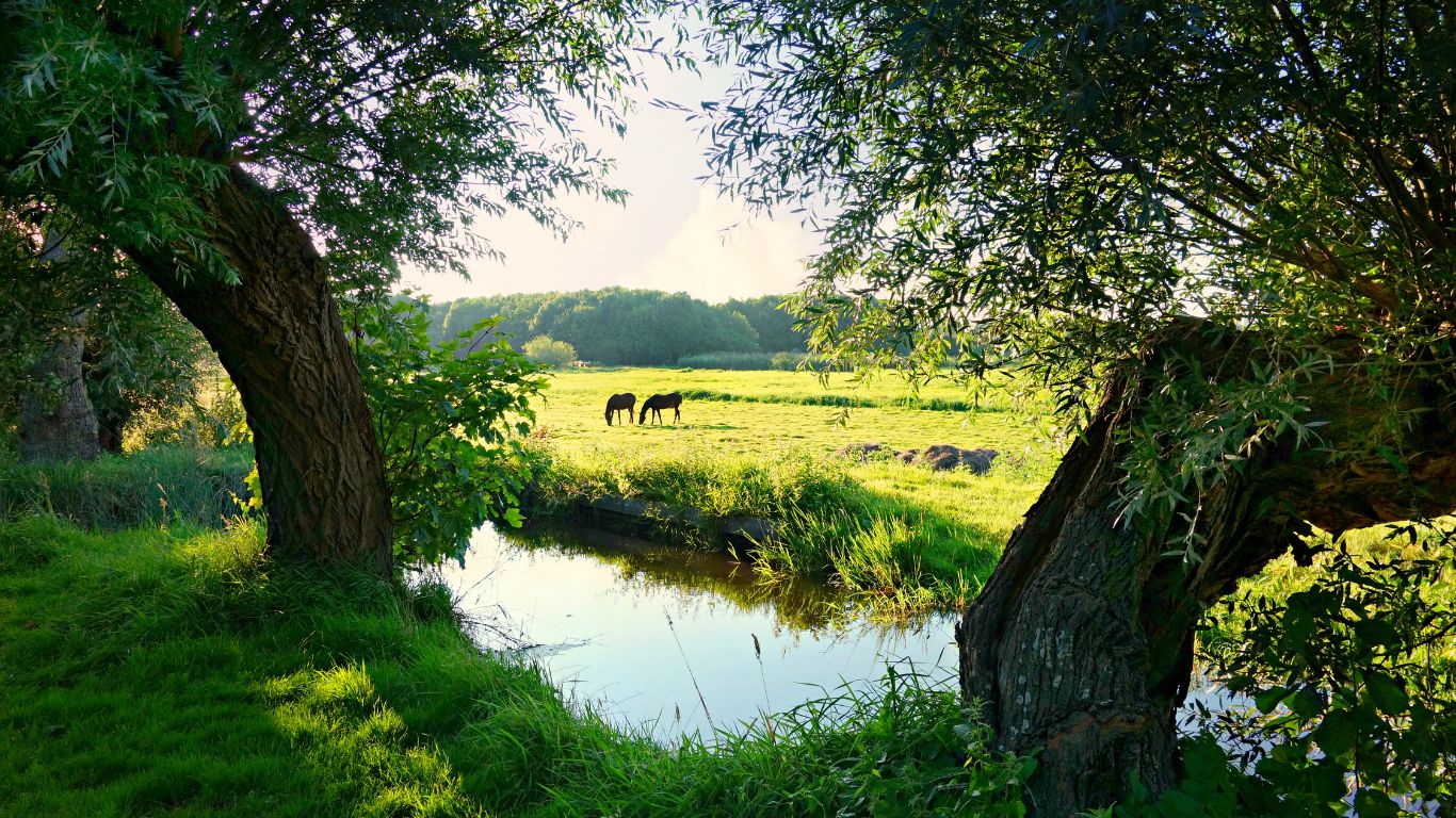 Spot Local Fauna on Upper Loire Valley Barge Cruise: A Wildlife ...